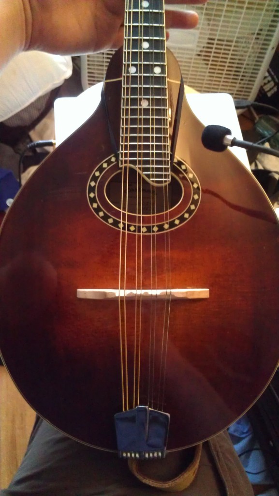 Mandolin Picks Comparison - Hollis Easter